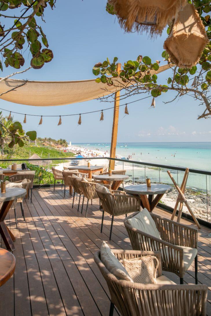 Fine Dining Experiences in Riviera Maya
